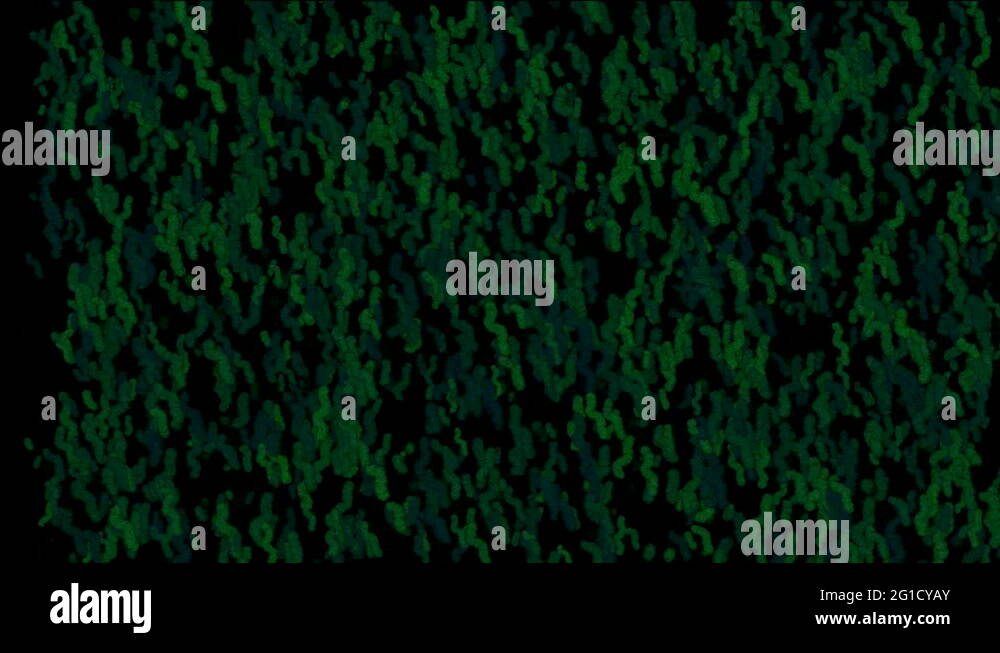 Green intensive fiber worm texture bacteria microbes algae cell drug ...