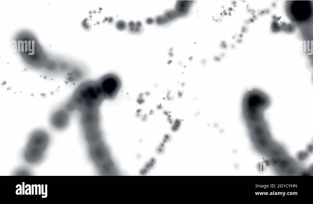 Nematodes shapes Stock Videos & Footage - HD and 4K Video Clips - Alamy