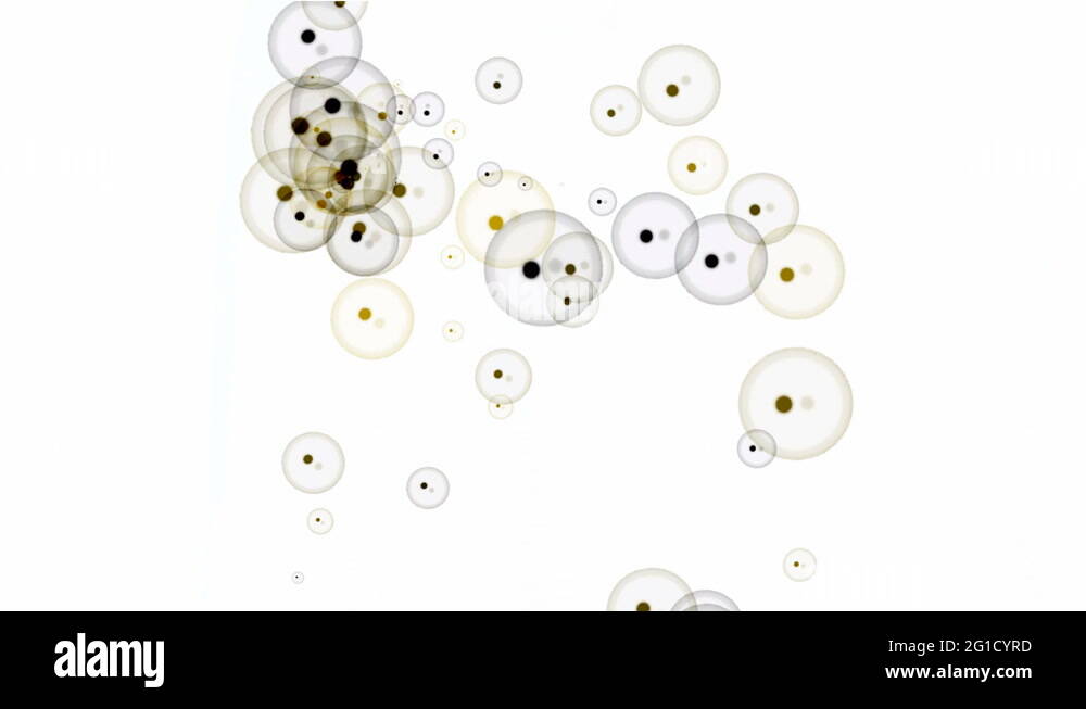 Liquid particles Stock Videos & Footage - HD and 4K Video Clips - Alamy