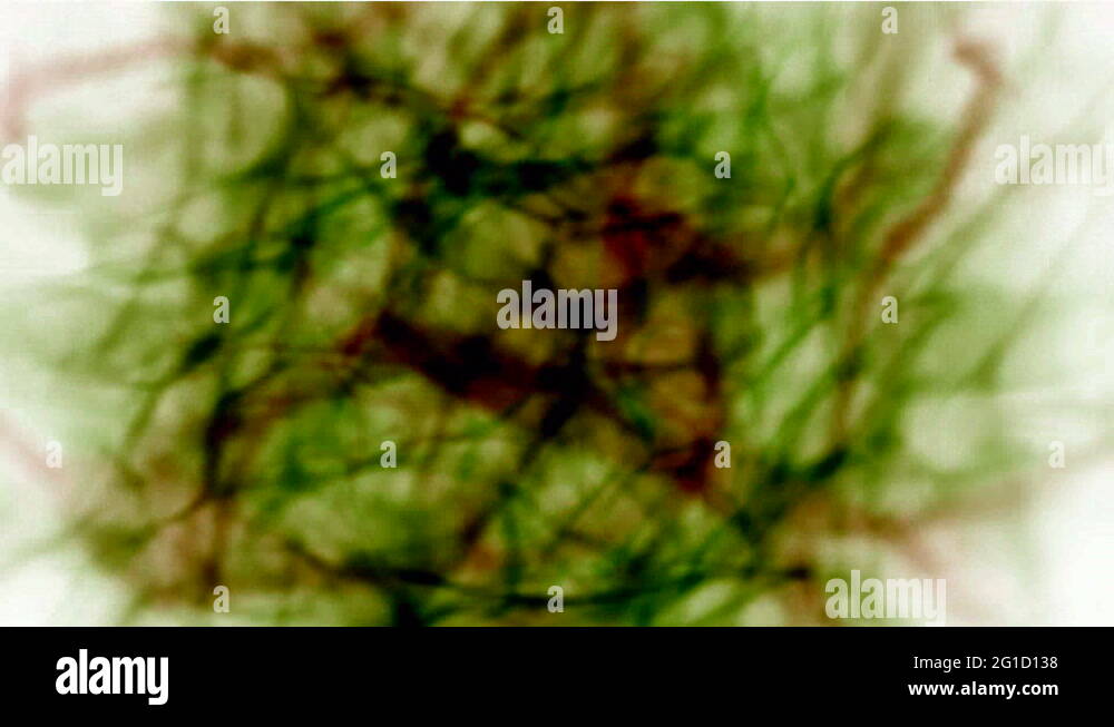 Ghost cell Stock Videos & Footage - HD and 4K Video Clips - Alamy