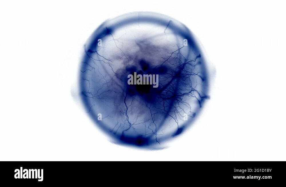 rotation atom with filaments,tech energy,cell,antenna.eye,medicine ...