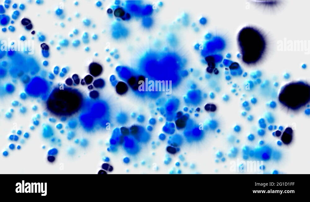 Bubble flare Stock Videos & Footage - HD and 4K Video Clips - Alamy