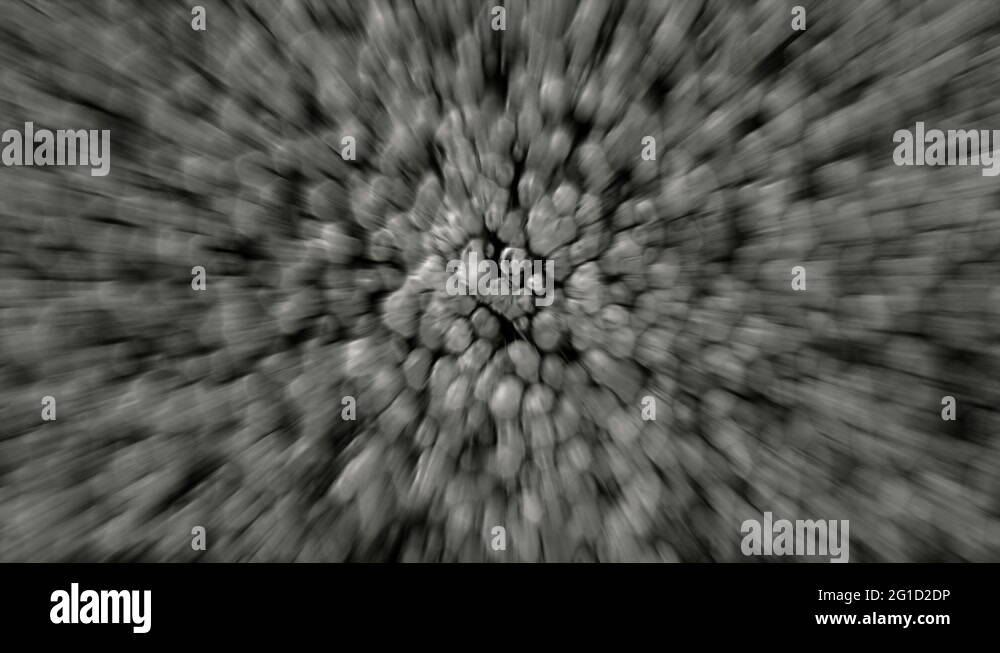 Gray cells Stock Videos & Footage - HD and 4K Video Clips - Alamy