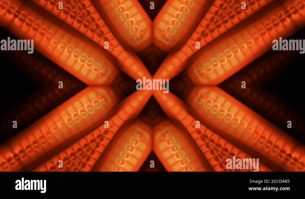 Pattern of cells and stripes Stock Videos & Footage - HD and 4K Video ...