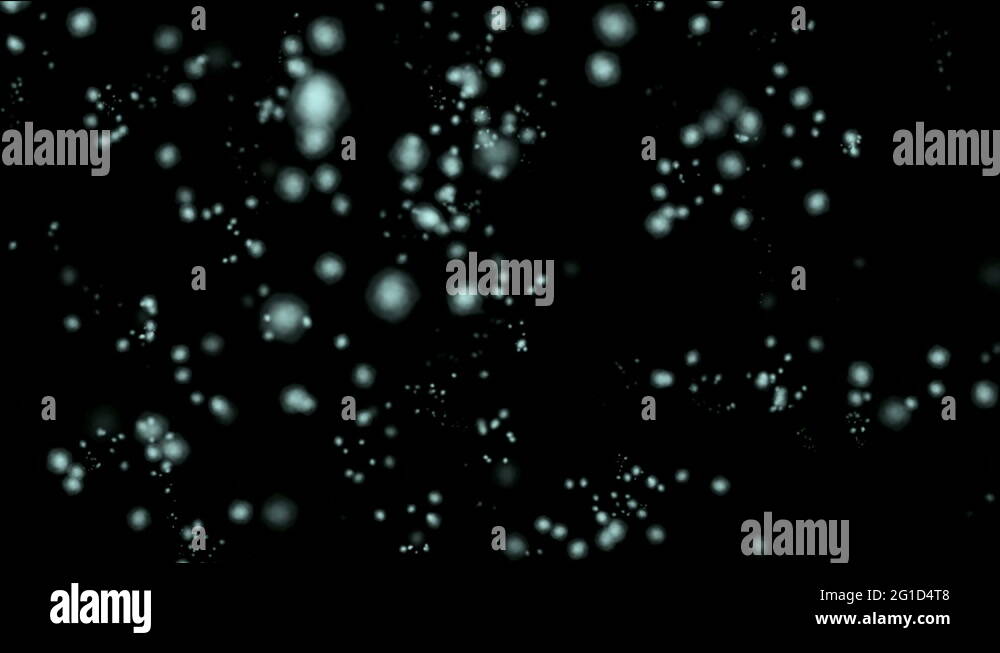 Spore dot Stock Videos & Footage - HD and 4K Video Clips - Alamy