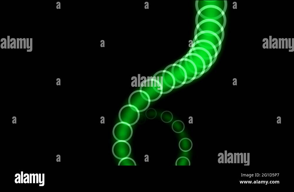Snake circle Stock Videos & Footage - HD and 4K Video Clips - Alamy