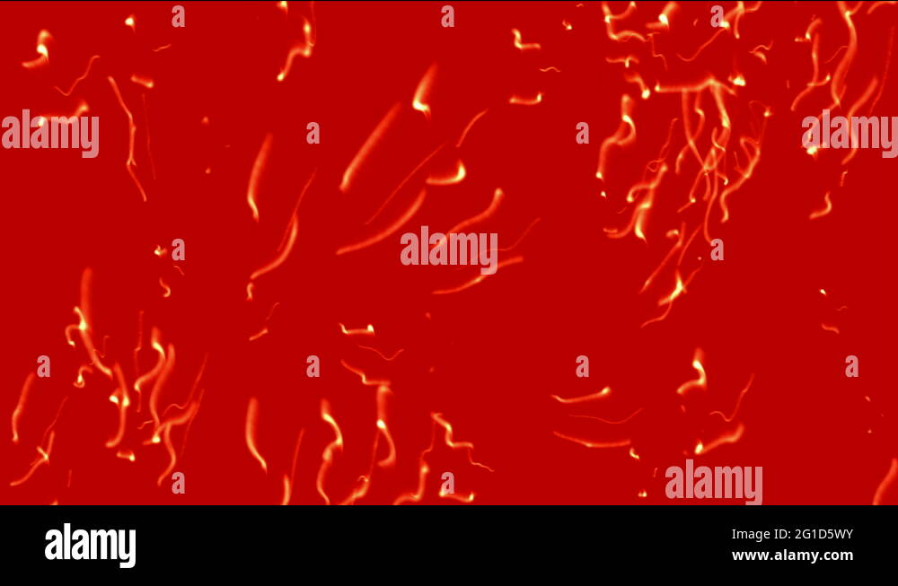 Flying worm Stock Videos & Footage - HD and 4K Video Clips - Alamy