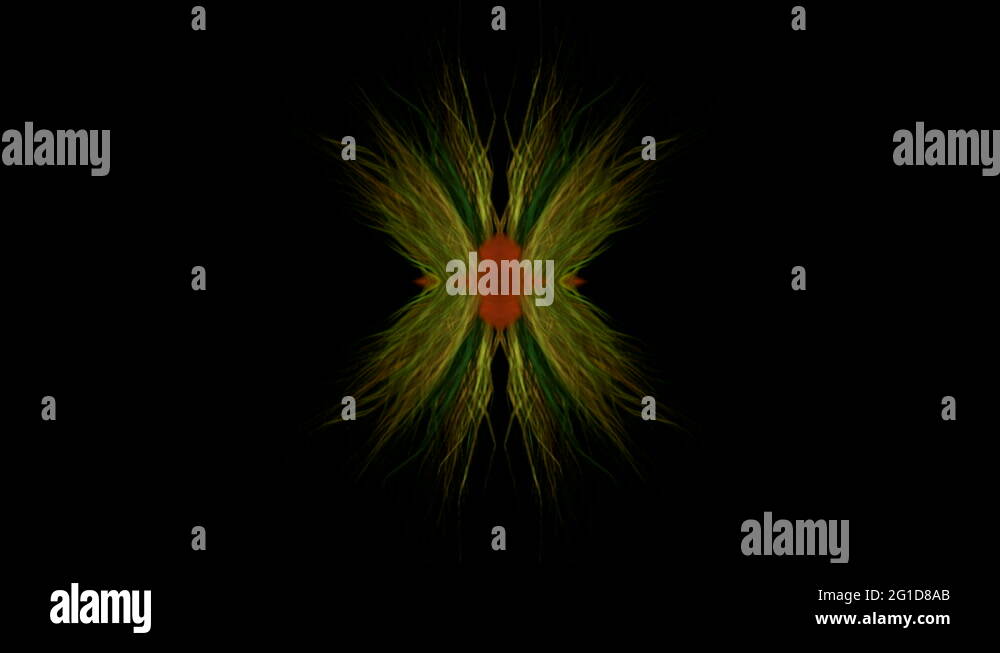 Nematode grass Stock Videos & Footage - HD and 4K Video Clips - Alamy