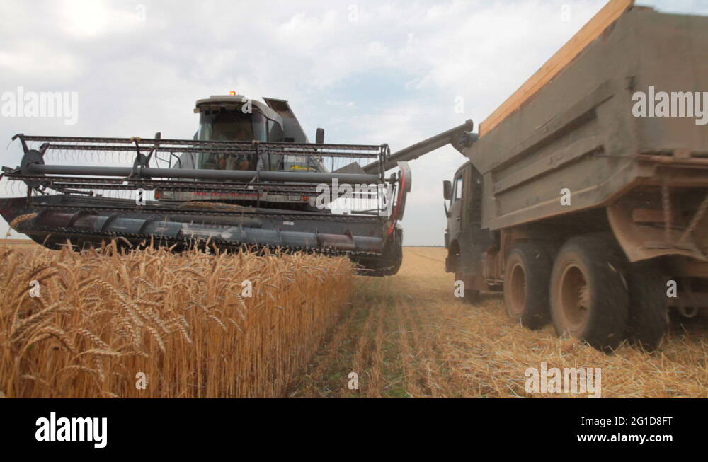 Grain loading Stock Videos & Footage - HD and 4K Video Clips - Alamy