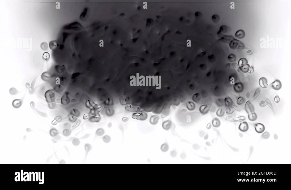 mucilage ovum and fluid waterdrop,virus and stem cells,bubble and ...