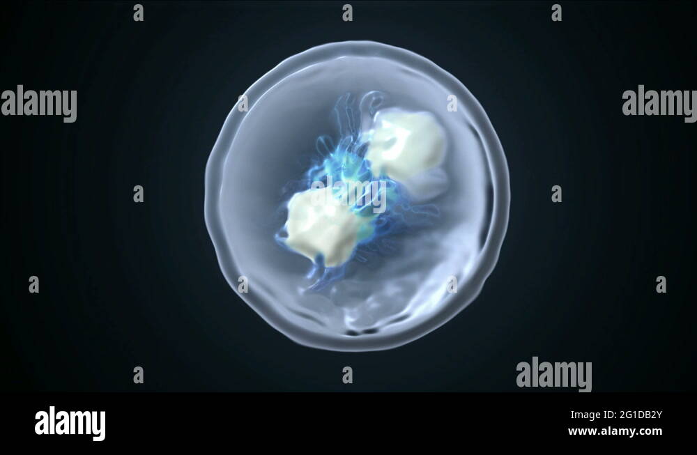 Optic cell Stock Videos & Footage - HD and 4K Video Clips - Alamy