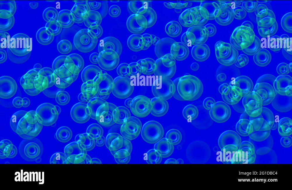 Bacillus spore Stock Videos & Footage - HD and 4K Video Clips - Alamy