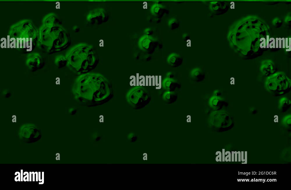 virus and microbe under microscope,cells plankton,bubble soap,seed ...