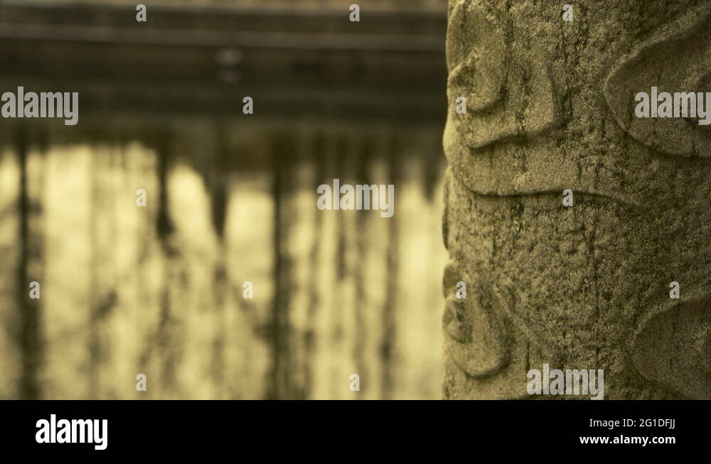 Tree branch columns Stock Videos & Footage - HD and 4K Video Clips - Alamy