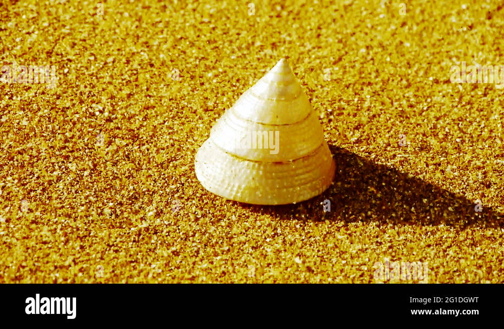 Gold cone Stock Videos & Footage - HD and 4K Video Clips - Alamy