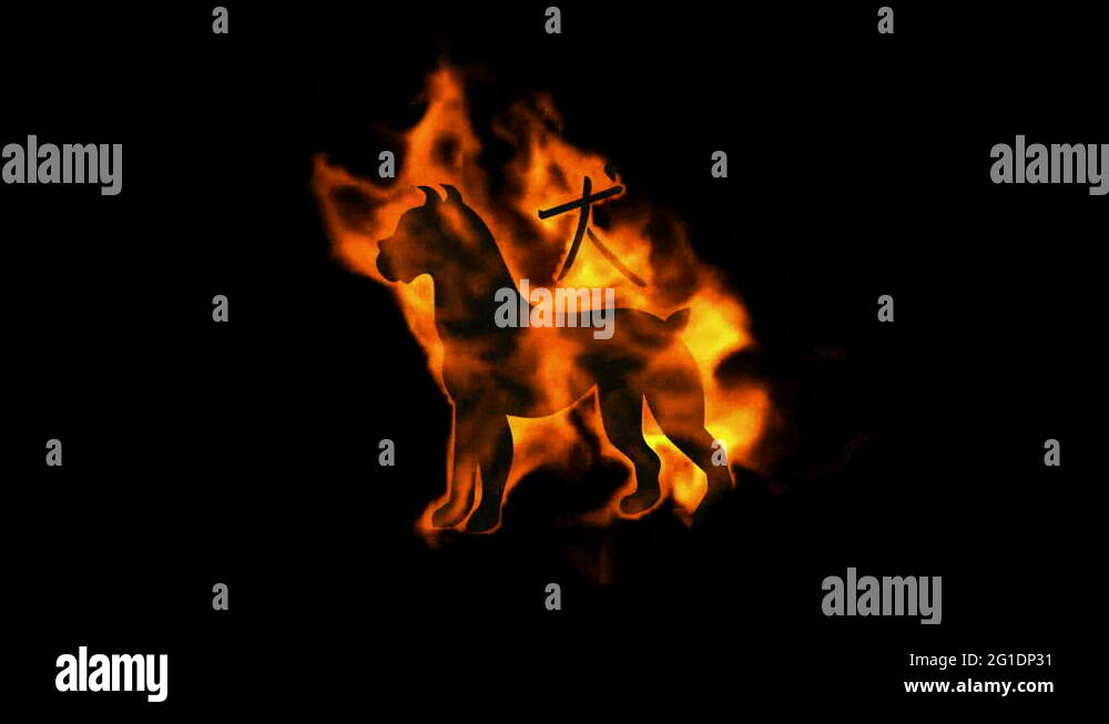 chinese zodiac of fire dog and handwriting chinese kanji,china ...