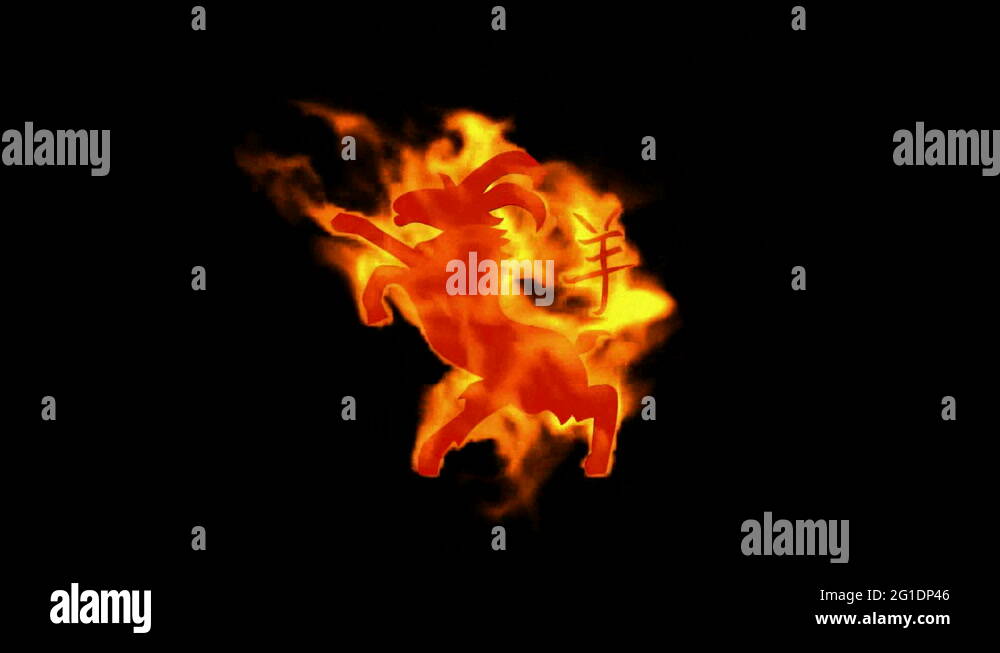 Wild eve sheep Stock Videos & Footage - HD and 4K Video Clips - Alamy