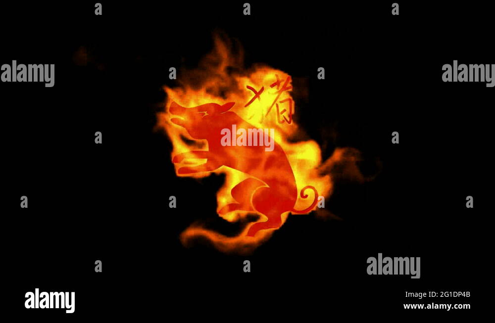 Chinese astrology symbol of pig Stock Videos & Footage - HD and 4K ...