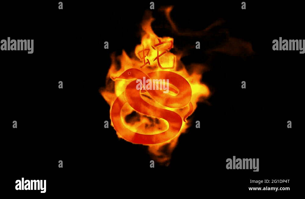 Fire snake Stock Videos & Footage - HD and 4K Video Clips - Alamy