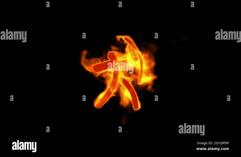 Olympic archer pulling Stock Videos & Footage - HD and 4K Video Clips ...