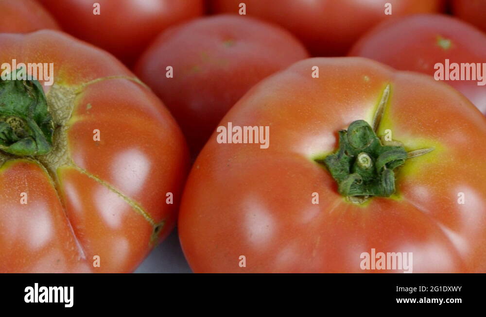 Tomato fruit Stock Videos & Footage - HD and 4K Video Clips - Alamy
