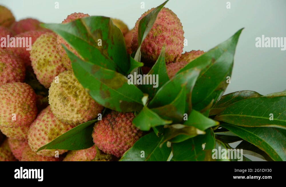 Lychee Stock Videos & Footage - HD and 4K Video Clips - Alamy