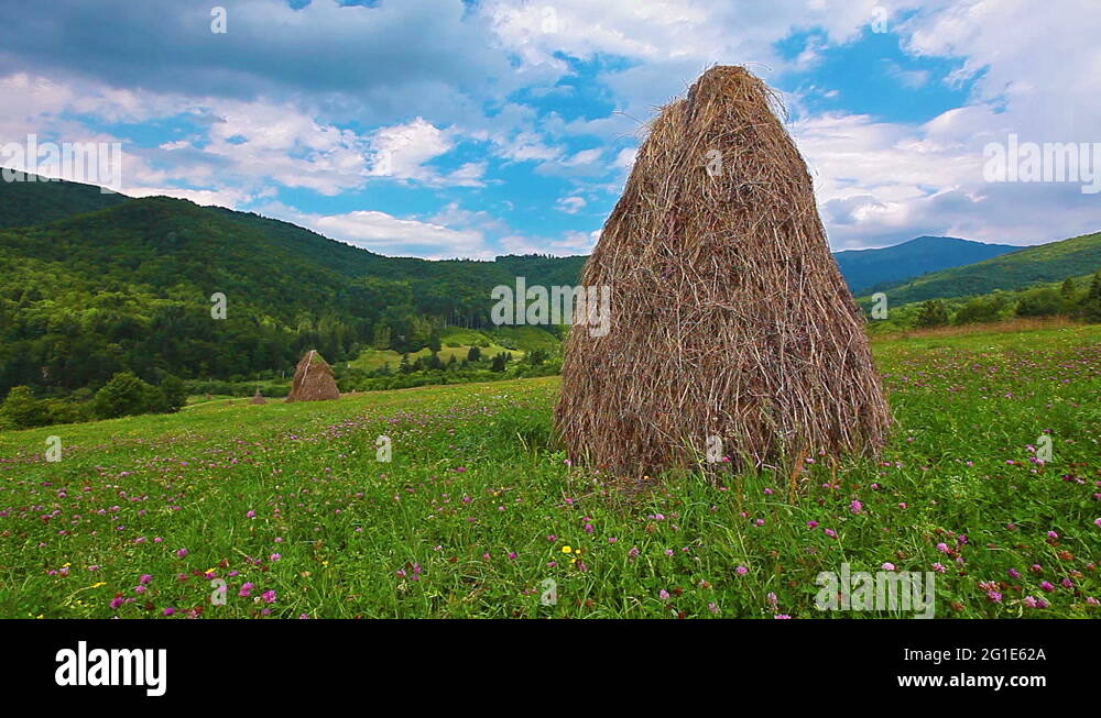 Haystack hut Stock Videos & Footage - HD and 4K Video Clips - Alamy