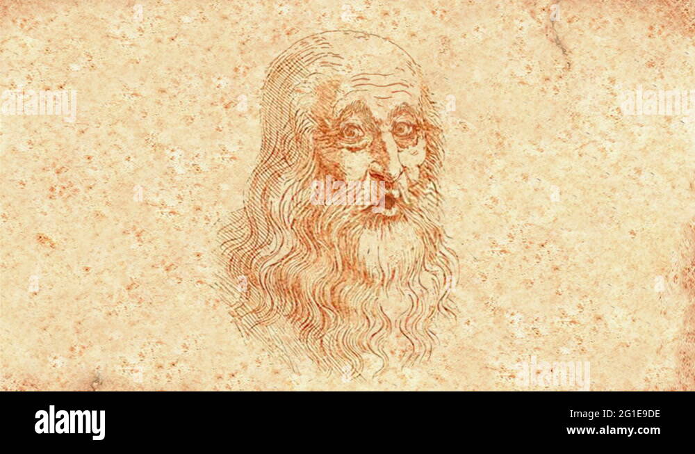 Leonardo da vinci cartoon Stock Videos & Footage - HD and 4K Video ...