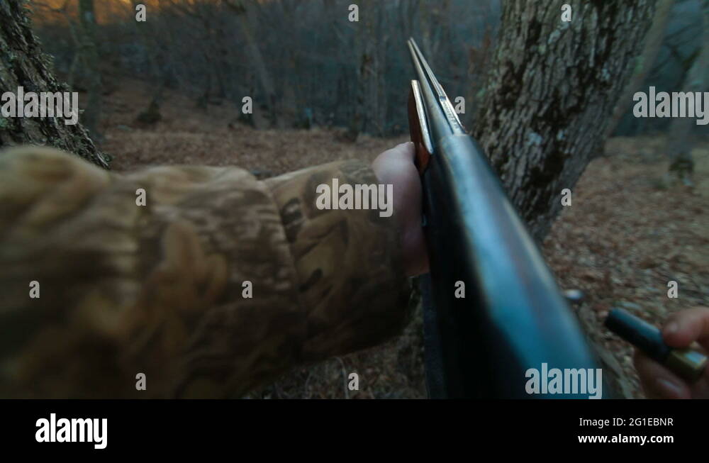 Hunter loading Stock Videos & Footage - HD and 4K Video Clips - Alamy