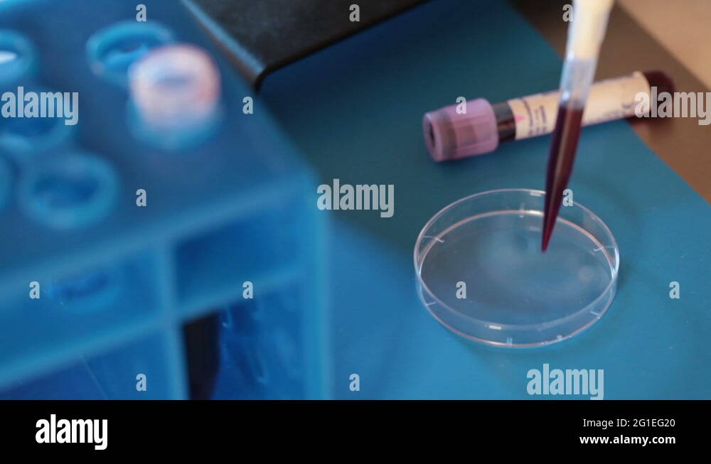 Modified bacteria Stock Videos & Footage - HD and 4K Video Clips - Alamy