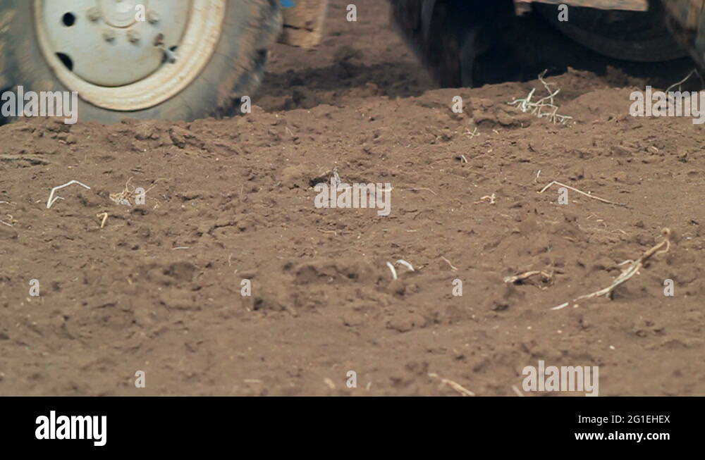 Cultivating process Stock Videos & Footage - HD and 4K Video Clips - Alamy