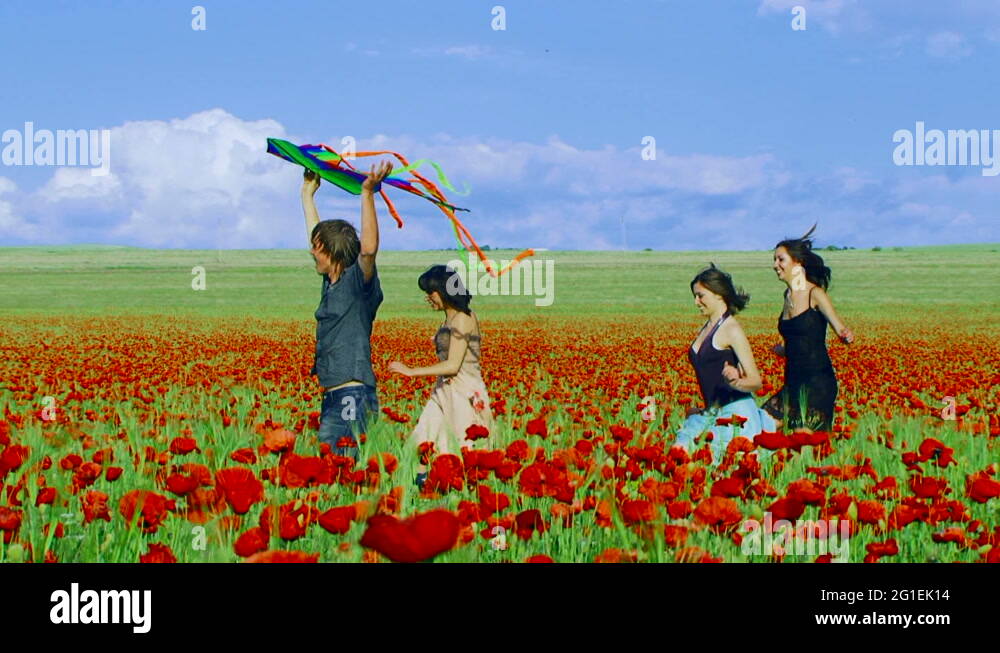 Sky serpent Stock Videos & Footage - HD and 4K Video Clips - Alamy