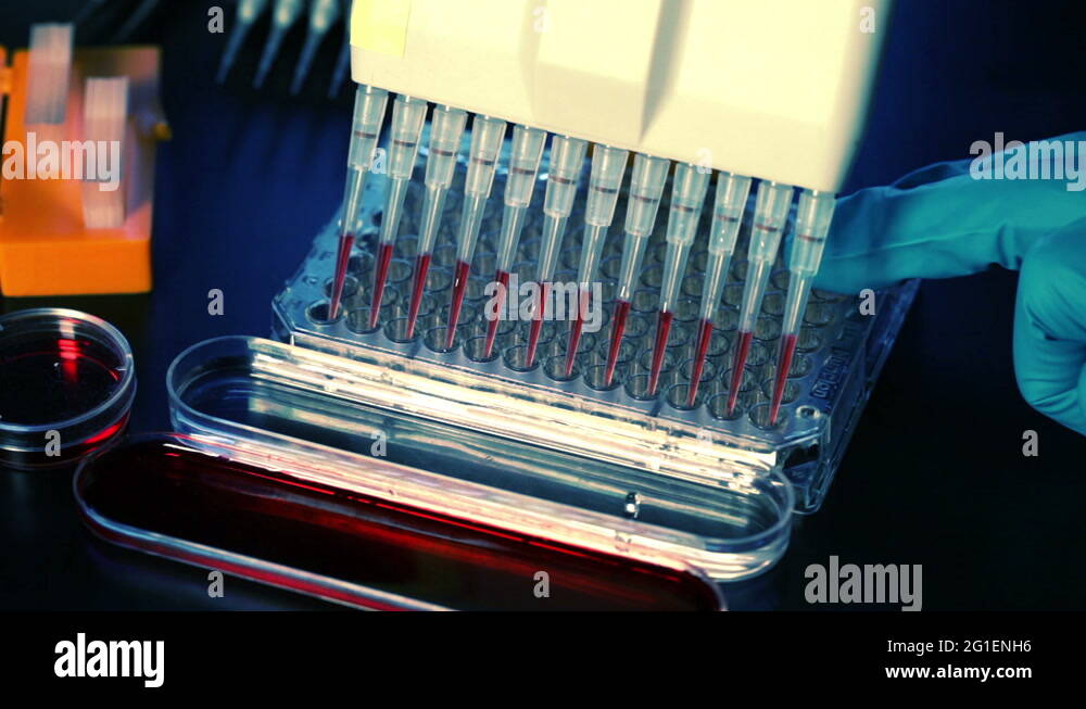 Multipipette Stock Videos & Footage - HD and 4K Video Clips - Alamy