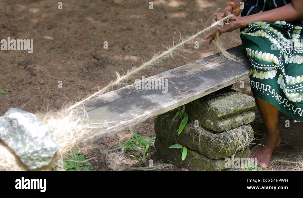 Coir making process Stock Videos & Footage - HD and 4K Video Clips - Alamy