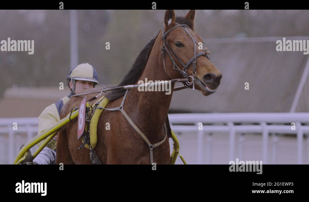 Jockey on racing horse Stock Videos & Footage - HD and 4K Video Clips ...