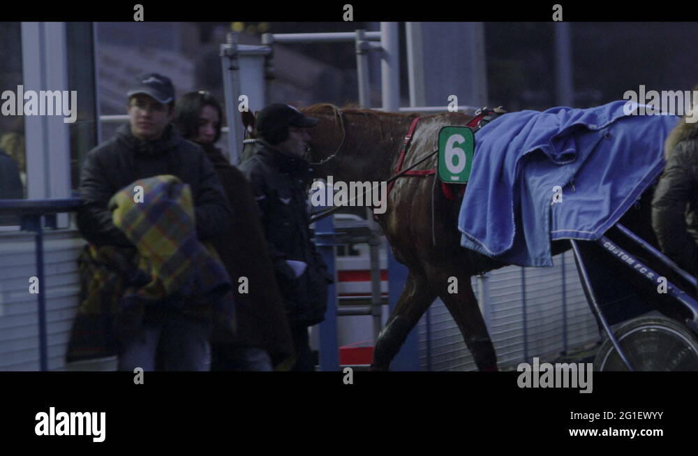 Horse and jockey to track Stock Videos & Footage - HD and 4K Video ...