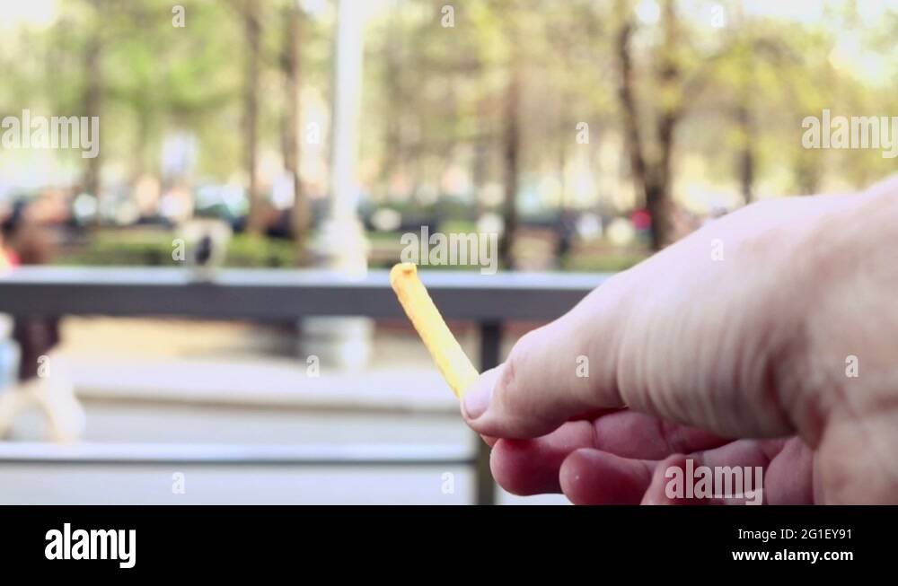 Fried flies Stock Videos & Footage - HD and 4K Video Clips - Alamy