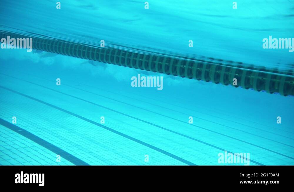 Swim race underwater Stock Videos & Footage - HD and 4K Video Clips - Alamy
