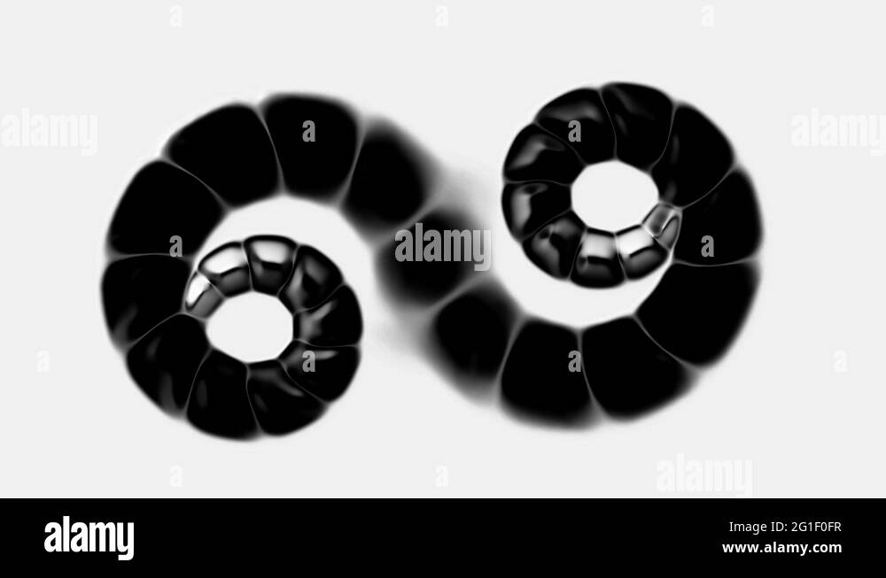 swirl chain,snake & nematode,invertebrates Stock Video Footage - Alamy