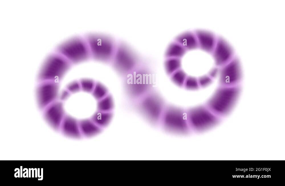 Devil worm Stock Videos & Footage - HD and 4K Video Clips - Alamy