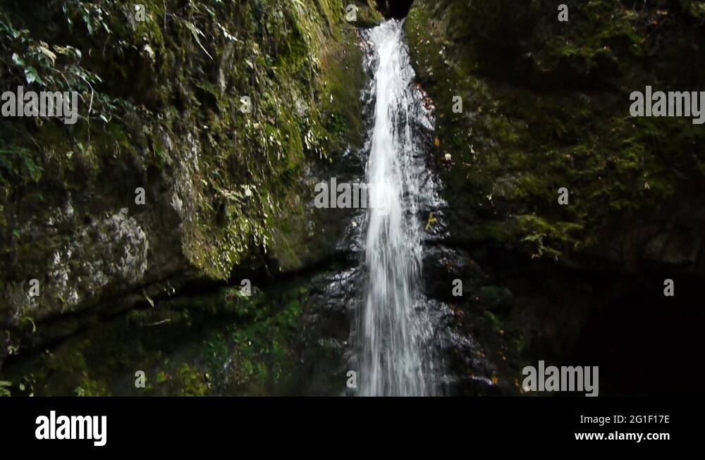 Waterfalls in Deep Forest of Japan Stock Video Footage - Alamy