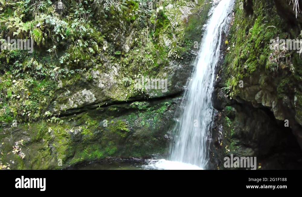 Waterfalls in Deep Forest of Japan Stock Video Footage - Alamy