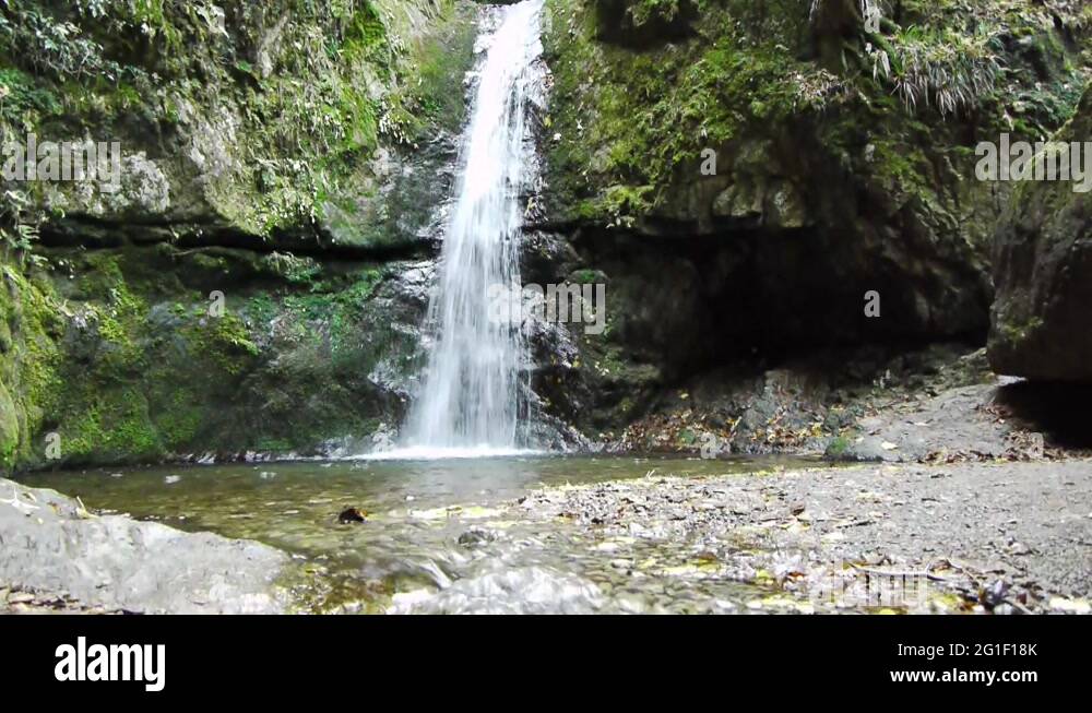 Waterfalls in Deep Forest of Japan Stock Video Footage - Alamy