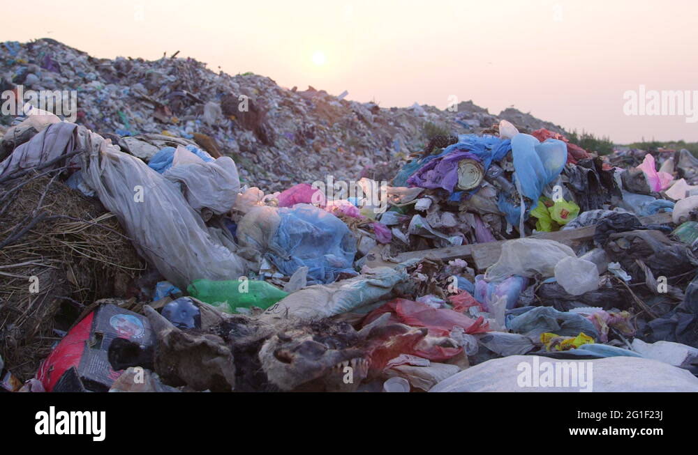 Refuse destruction Stock Videos & Footage - HD and 4K Video Clips - Alamy