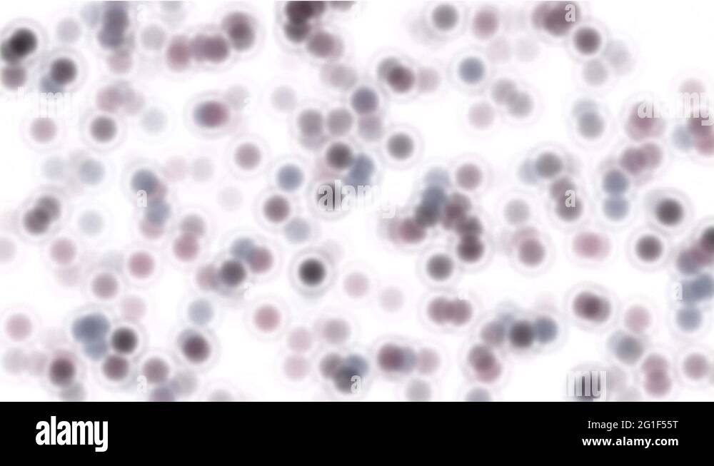 float particles & planktonic,cell under microscope Stock Video Footage ...