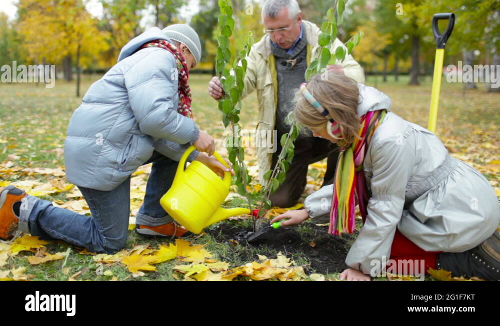 Boy planting sapling Stock Videos & Footage - HD and 4K Video Clips - Alamy