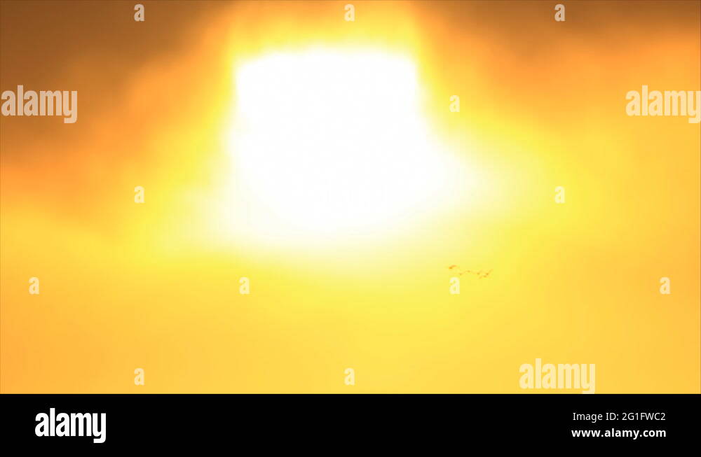 Burning birds Stock Videos & Footage - HD and 4K Video Clips - Alamy