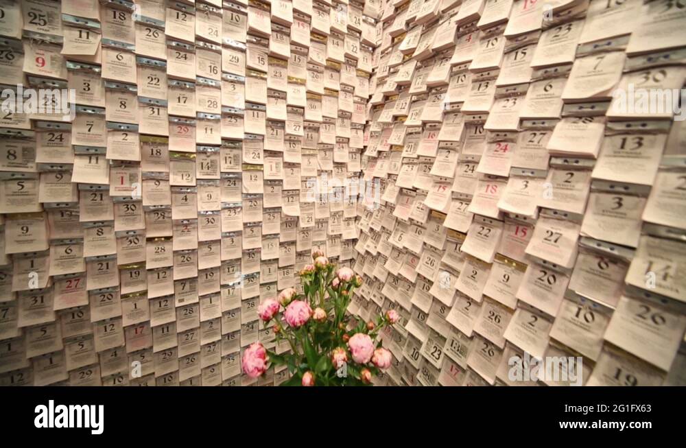 Note vase Stock Videos & Footage - HD and 4K Video Clips - Alamy