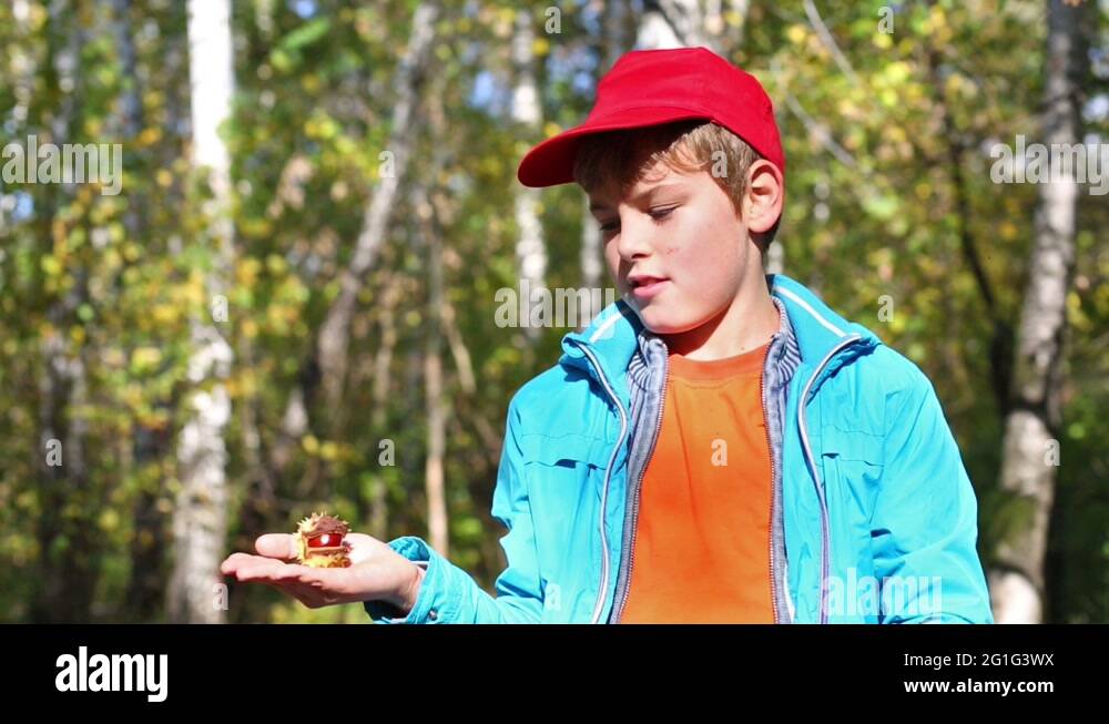 Hand in cap Stock Videos & Footage - HD and 4K Video Clips - Alamy