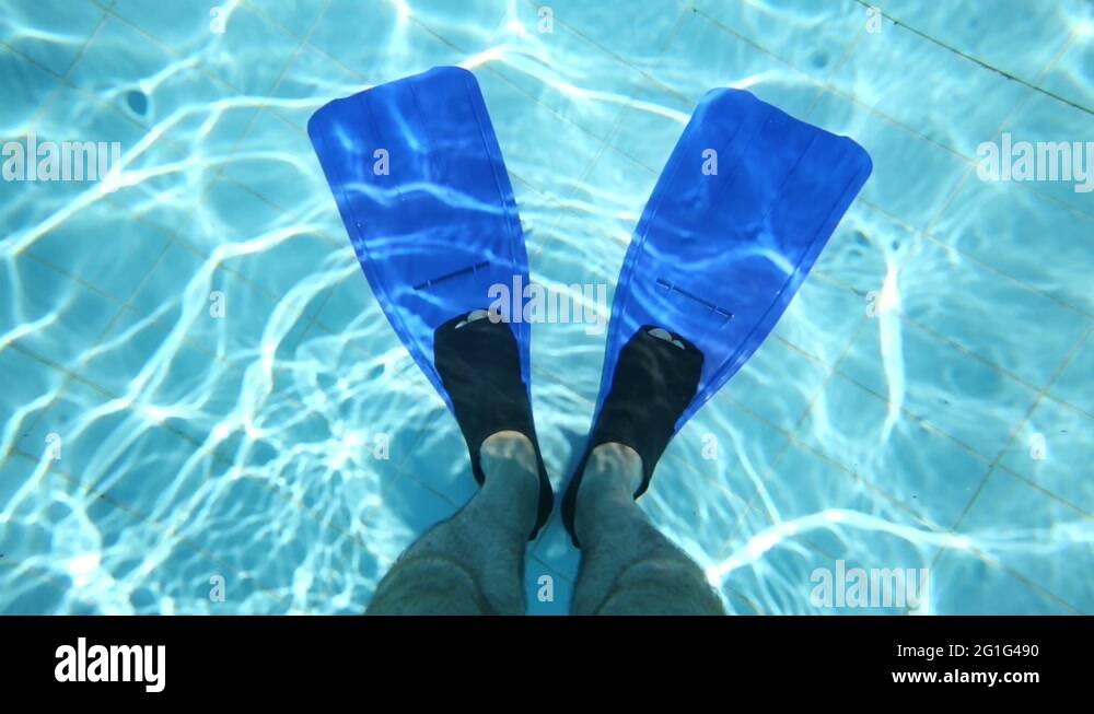 Blue flippers Stock Videos & Footage - HD and 4K Video Clips - Alamy